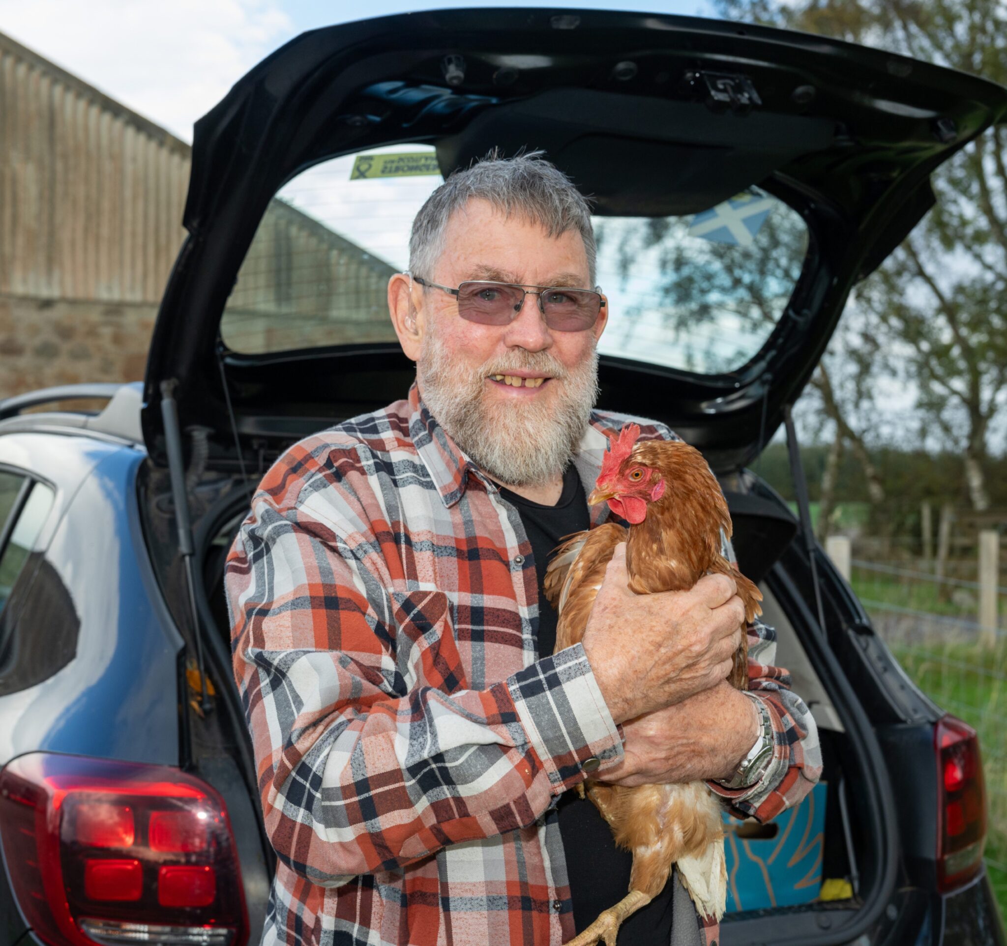 Gallery: Highland hens rescued during Storm Amy