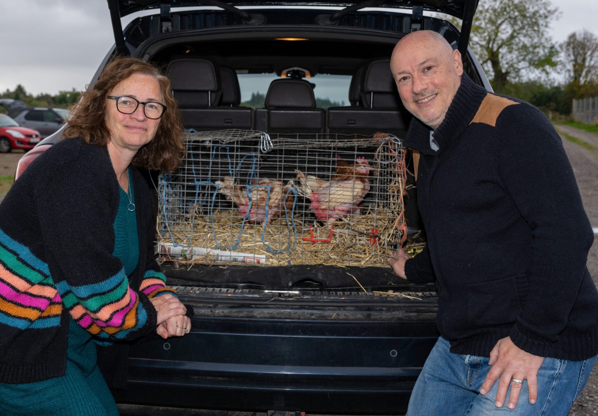Gallery: Highland hens rescued during Storm Amy