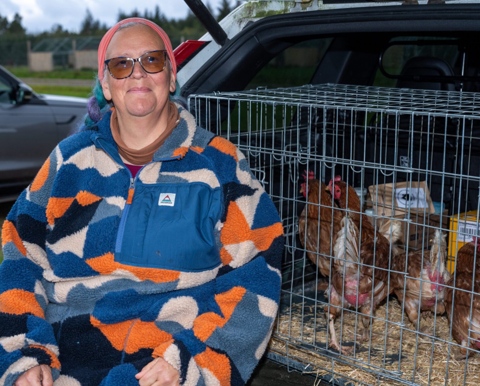 Gallery: Highland hens rescued during Storm Amy