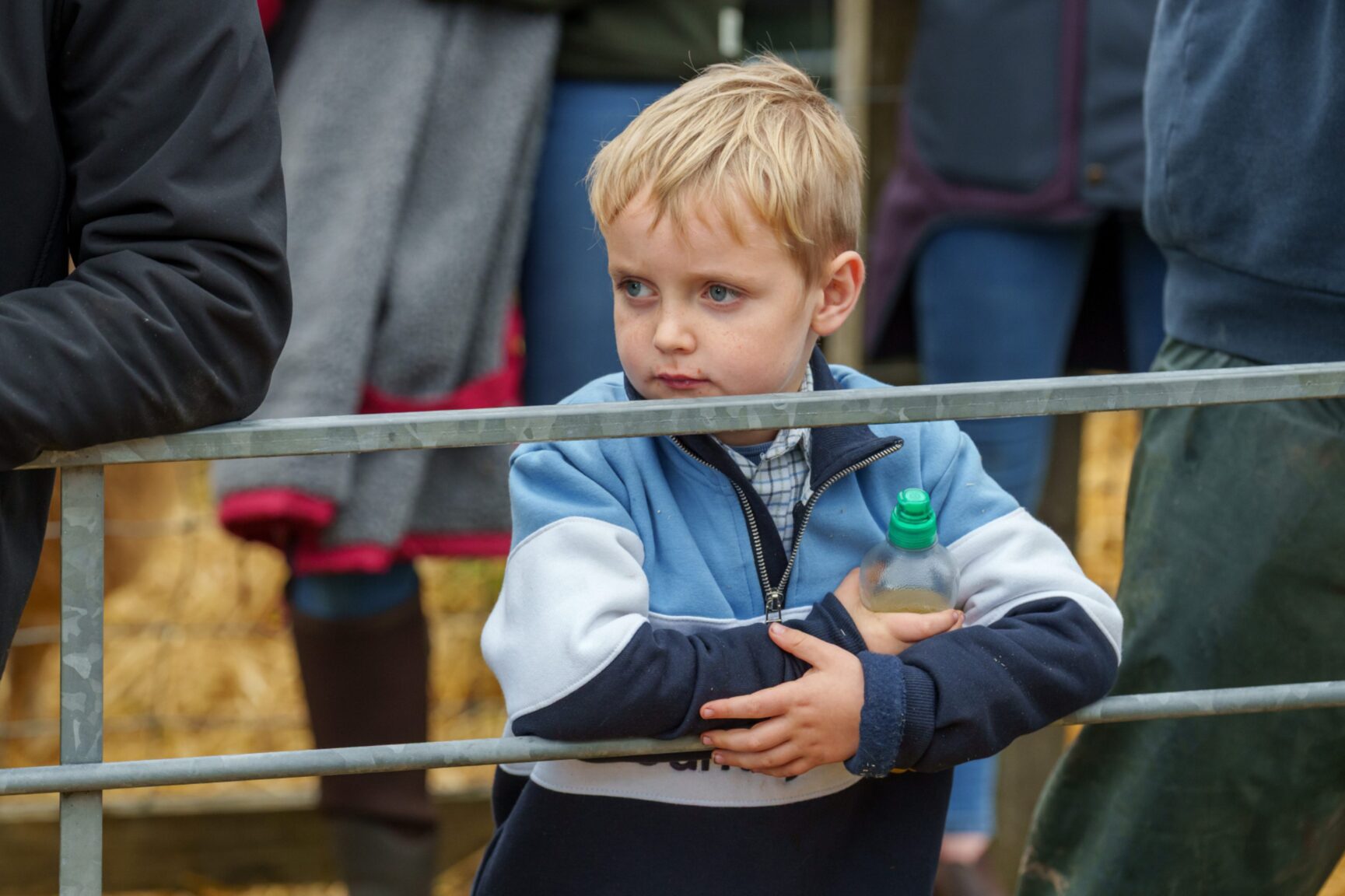 Gallery: 41 best pictures from the NCC tup sale in Lairg - Press and ...