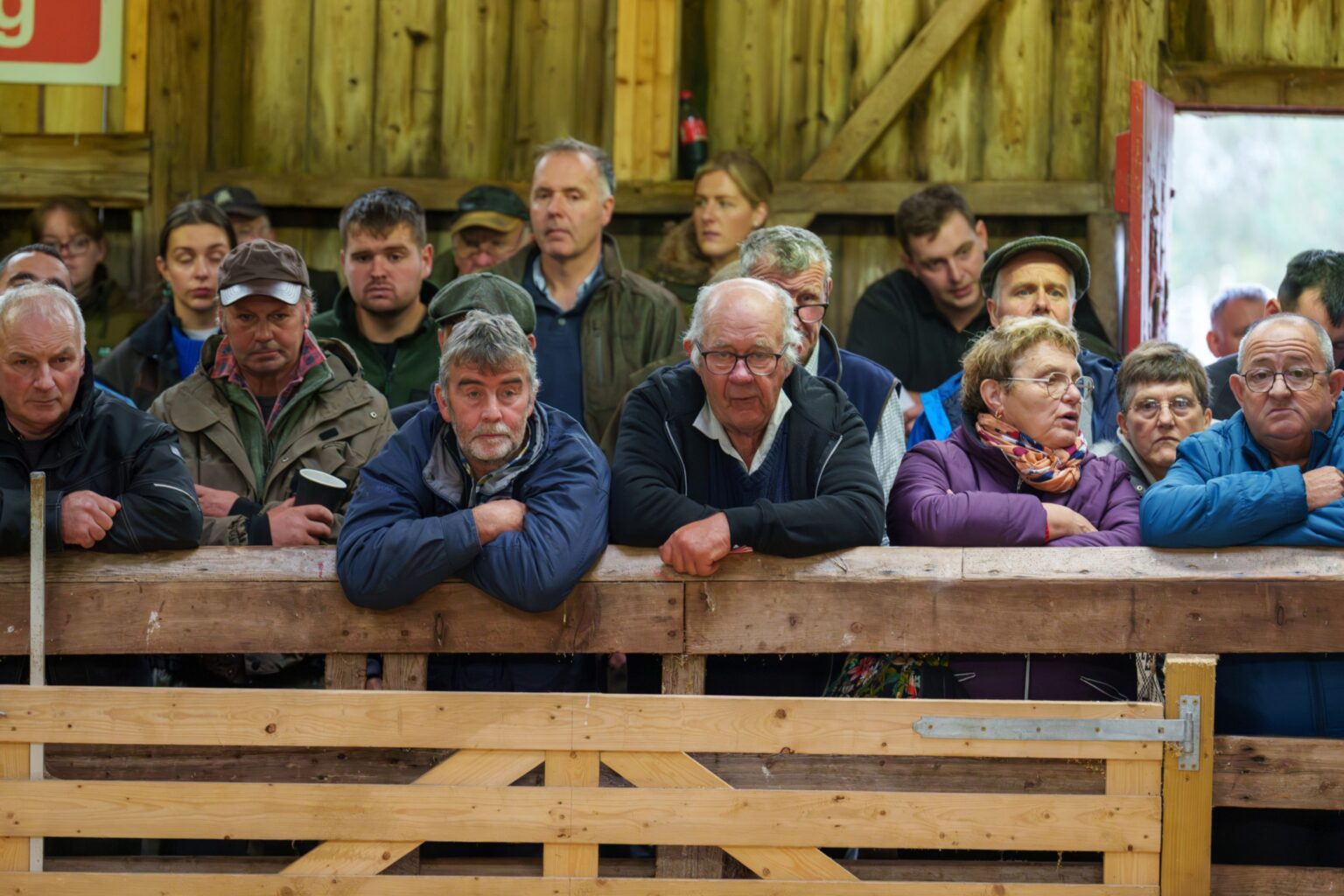 Record average for NCC breed in Lairg with £20k achieved twice by north ...