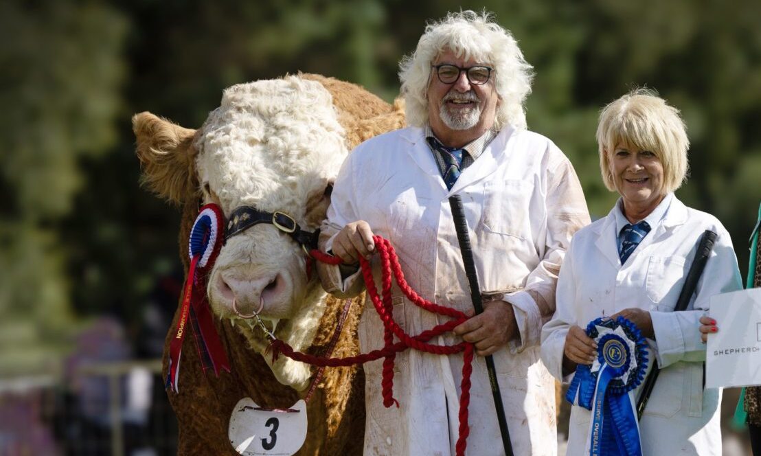Moray Simmental breeder gears up to judge at Stirling Bull Sales ...