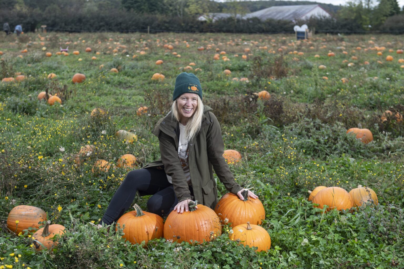 Cawdor Pumpkin Patch: Couple's 'big risk' to reopen is paying off