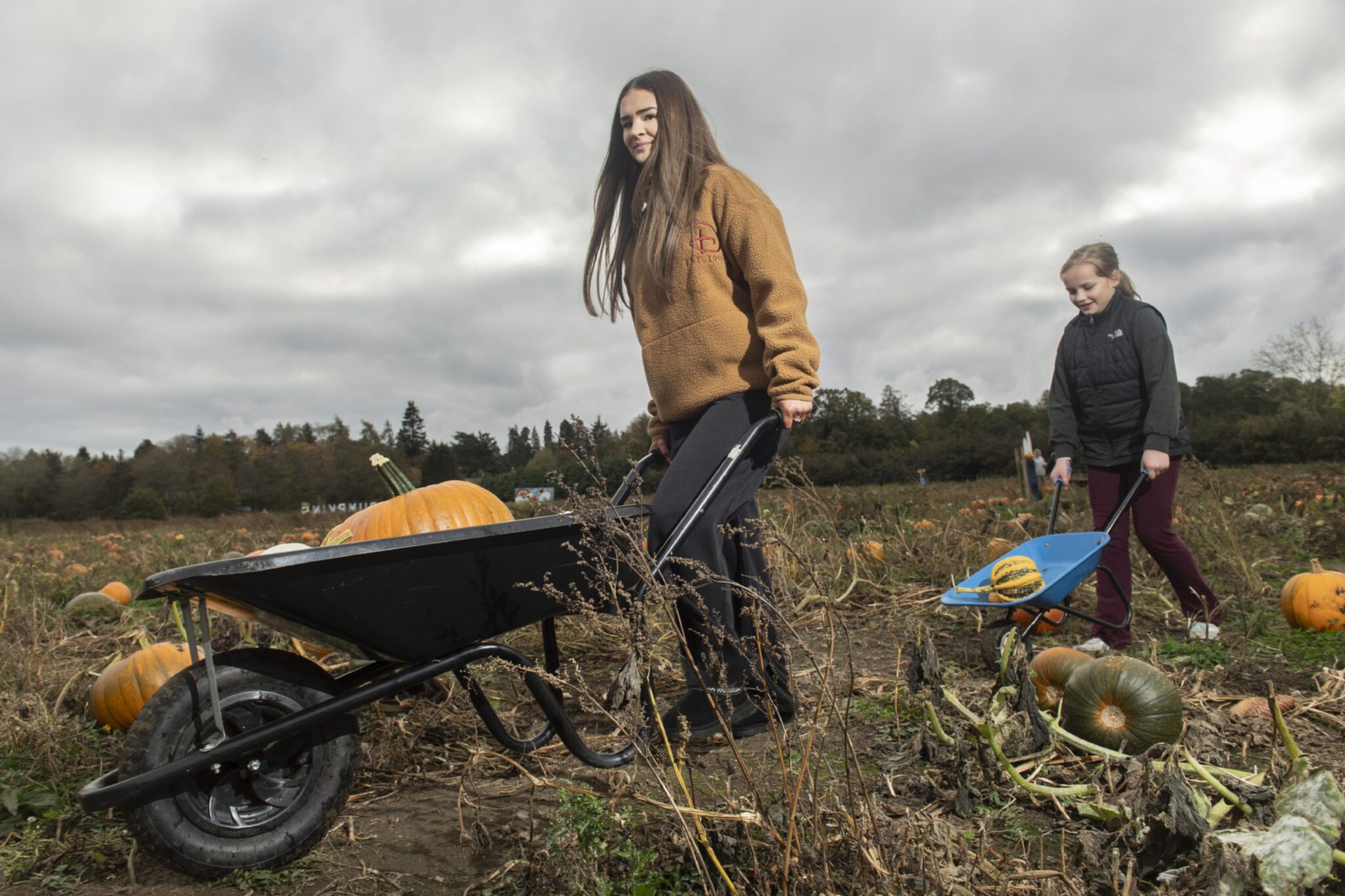 Cawdor Pumpkin Patch: Couple's 'big risk' to reopen is paying off