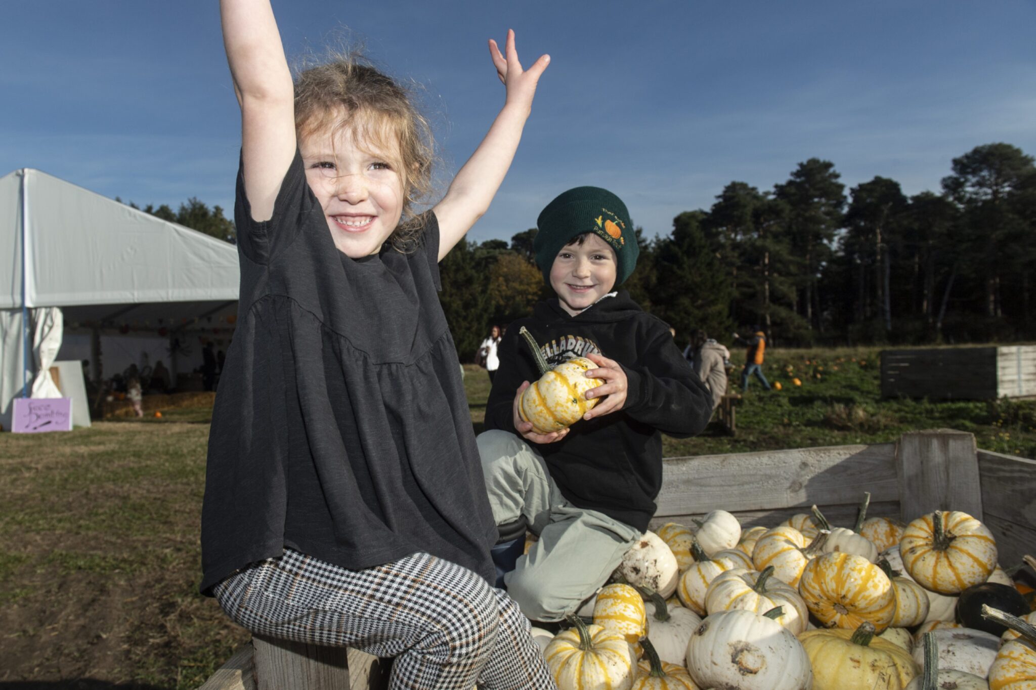 Gallery: Families flock to Cawdor Pumpkin Patch