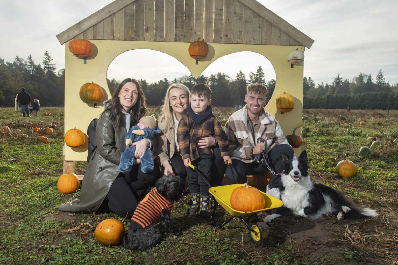 Gallery: Families flock to Cawdor Pumpkin Patch