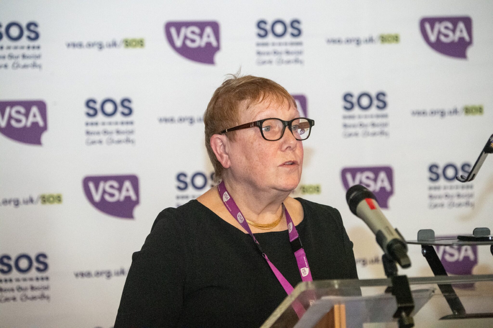 VSA's chief executive Sue Freeth resigns amid financial turmoil