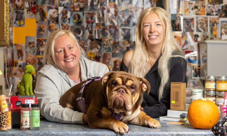 Aberdeen's Fat Cat Pets welcomes new owner in Torry