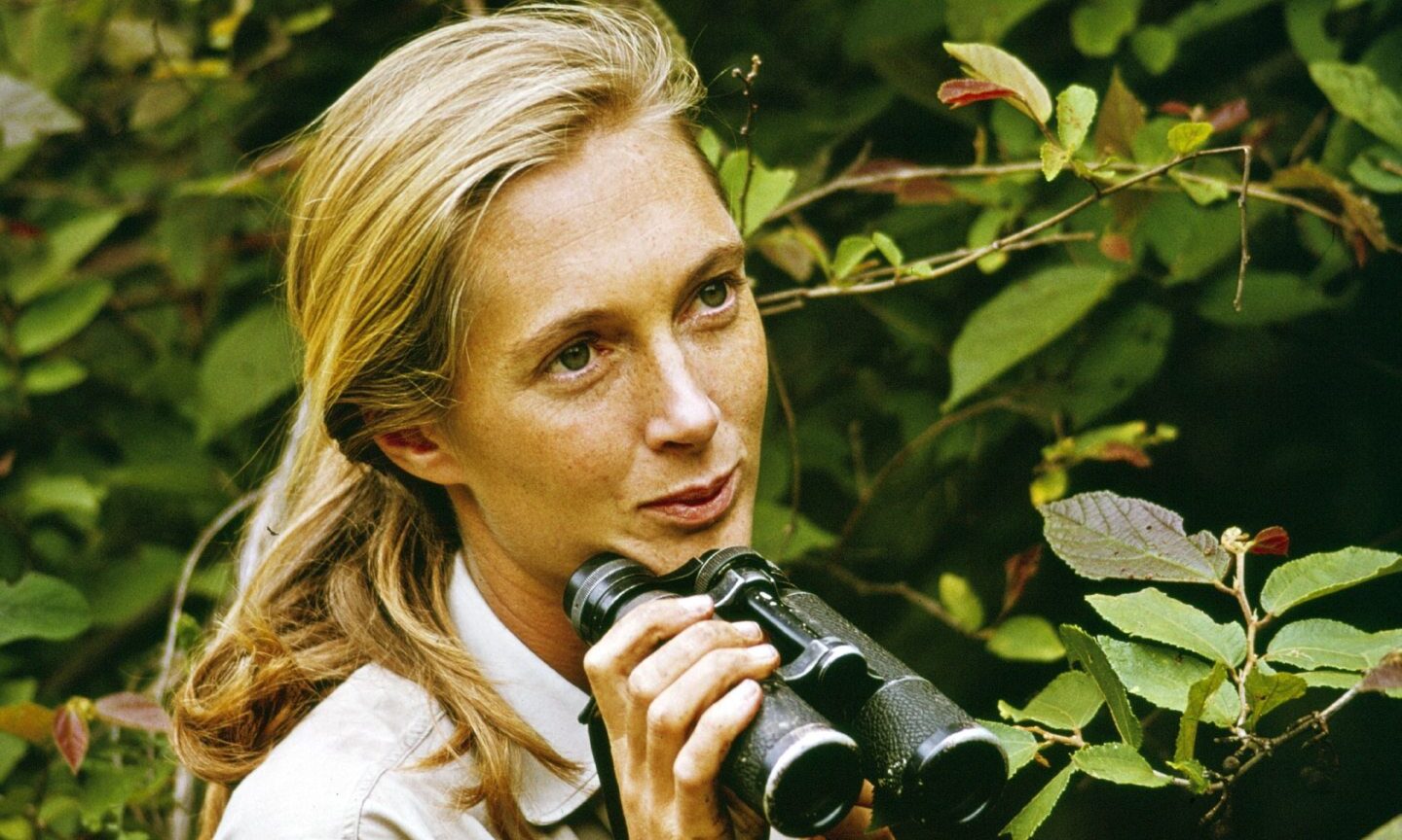 How Jane Goodall inspired Inverness kids through conservation