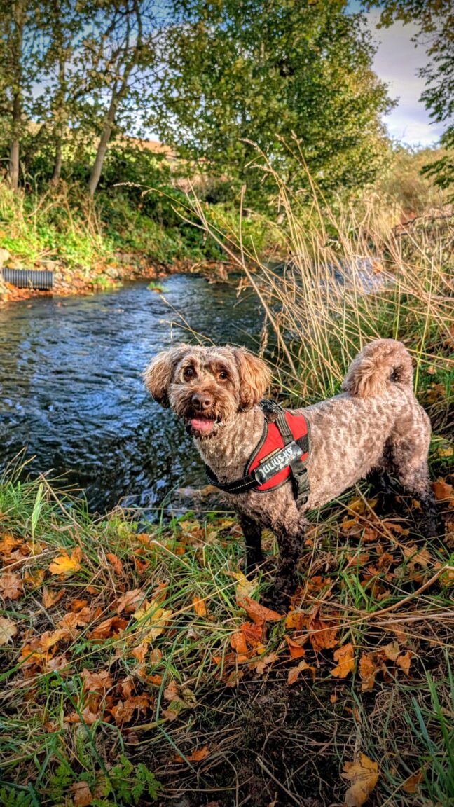 The Coo School Huntly is the ultimate fixer-upper