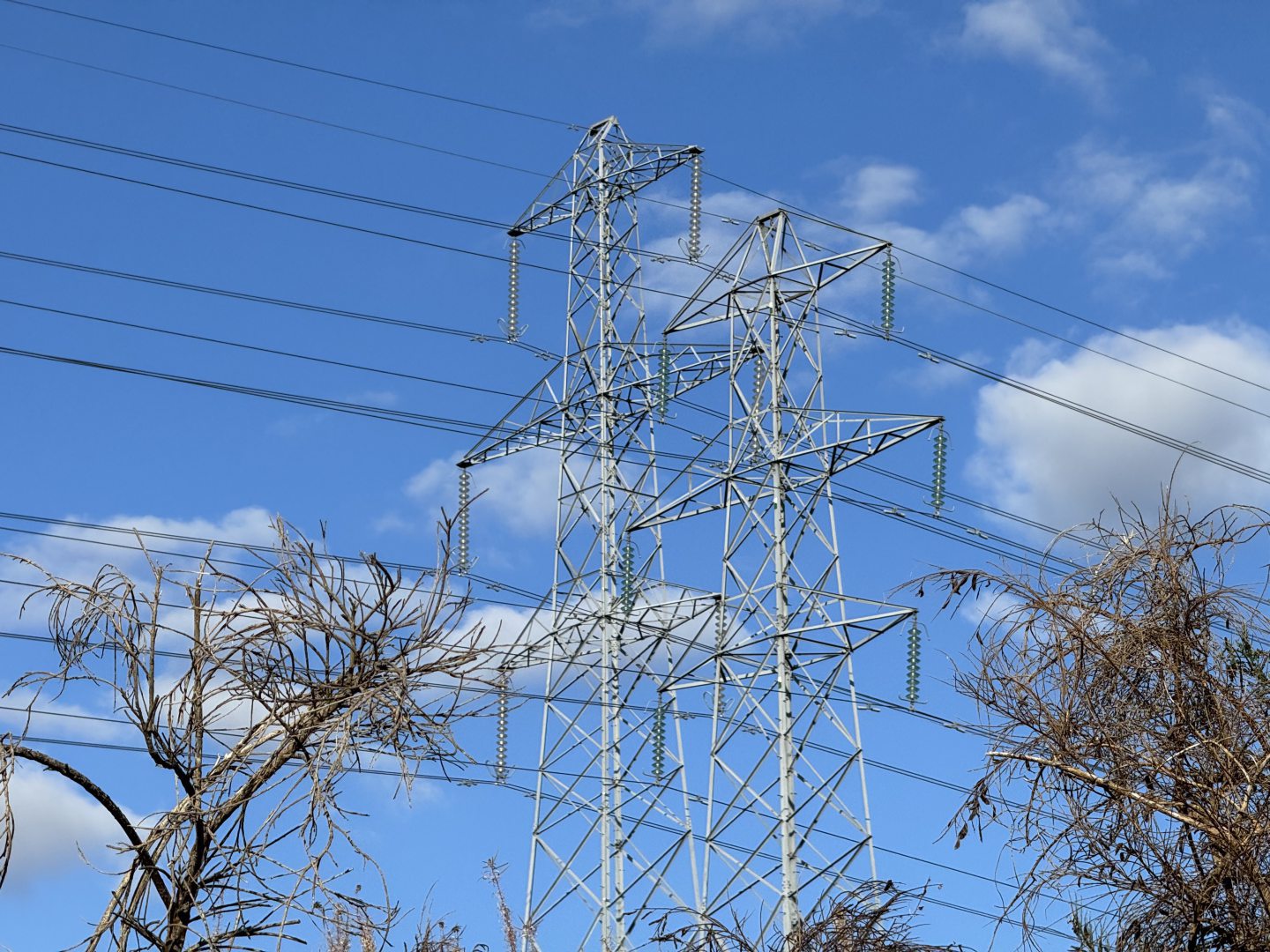 SSEN sent 'homeward' to 'think again' on Moray pylon plans