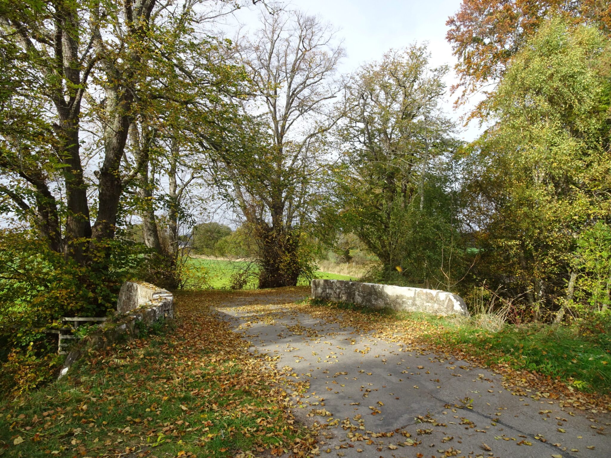 Readers’ Gallery: Scenic views, autumn colours, and the Highlands ...