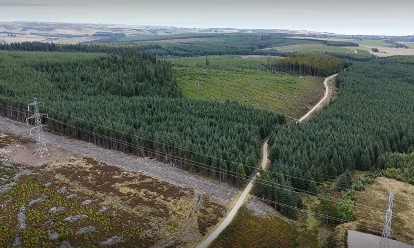 Thousands of residents object to Fetteresso Forest substation plan