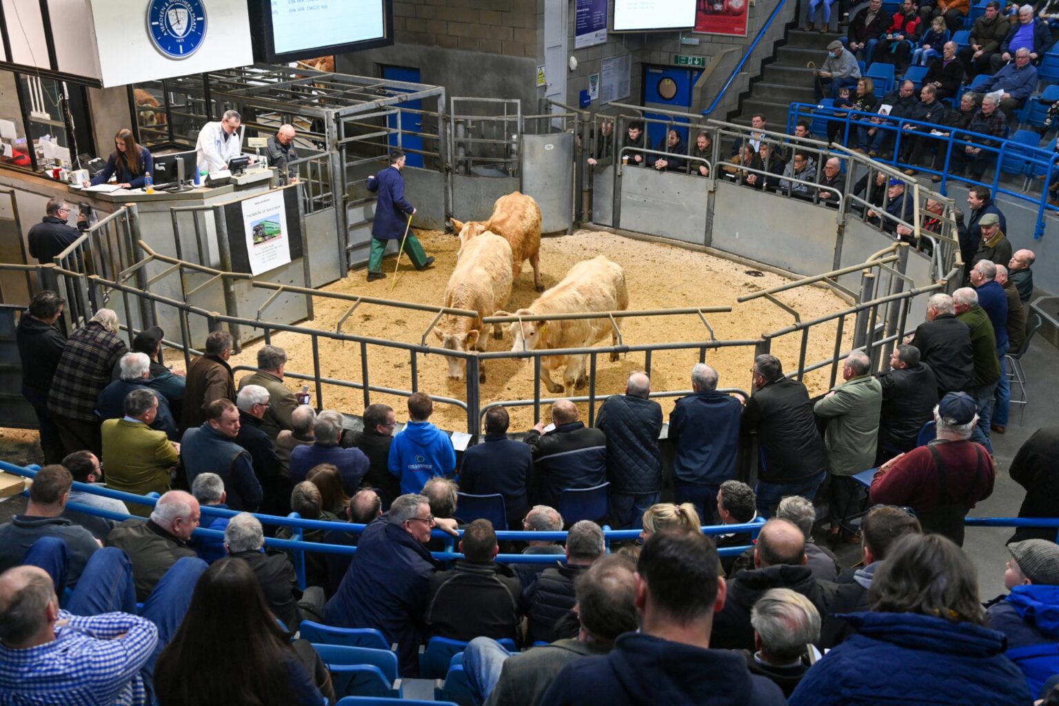 Grant Rogerson: Let's raise a toast to our determined farmers