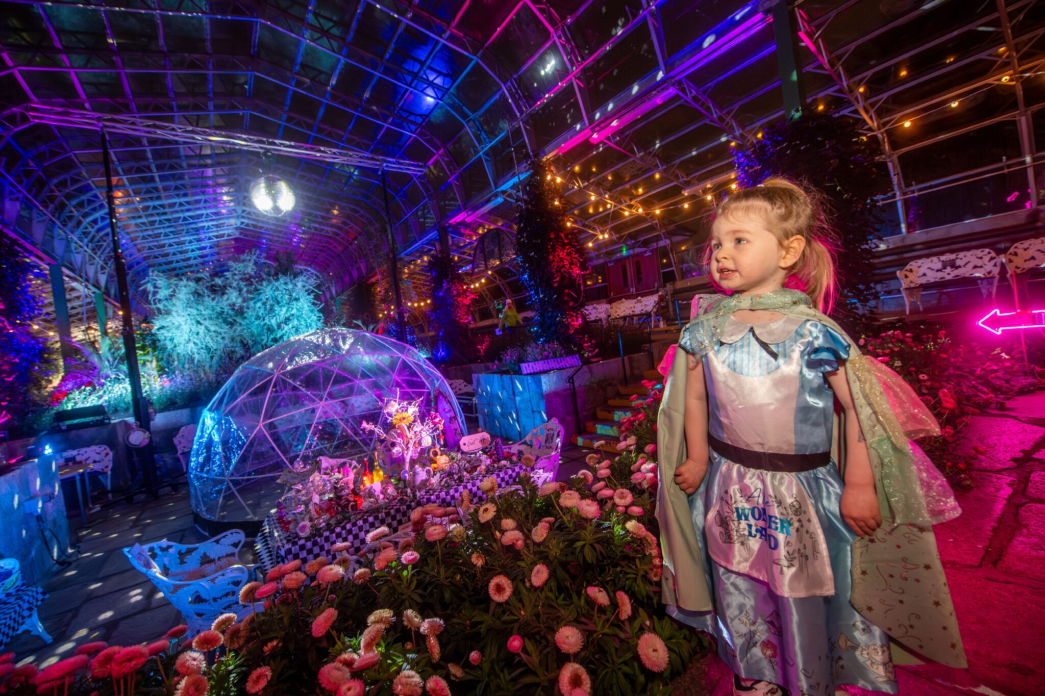 First look at Duthie Park's Winter Wonder Wander