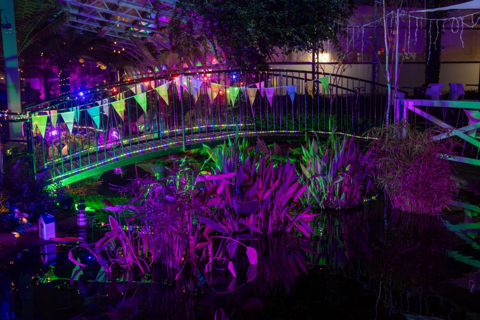 First look at Duthie Park's Winter Wonder Wander