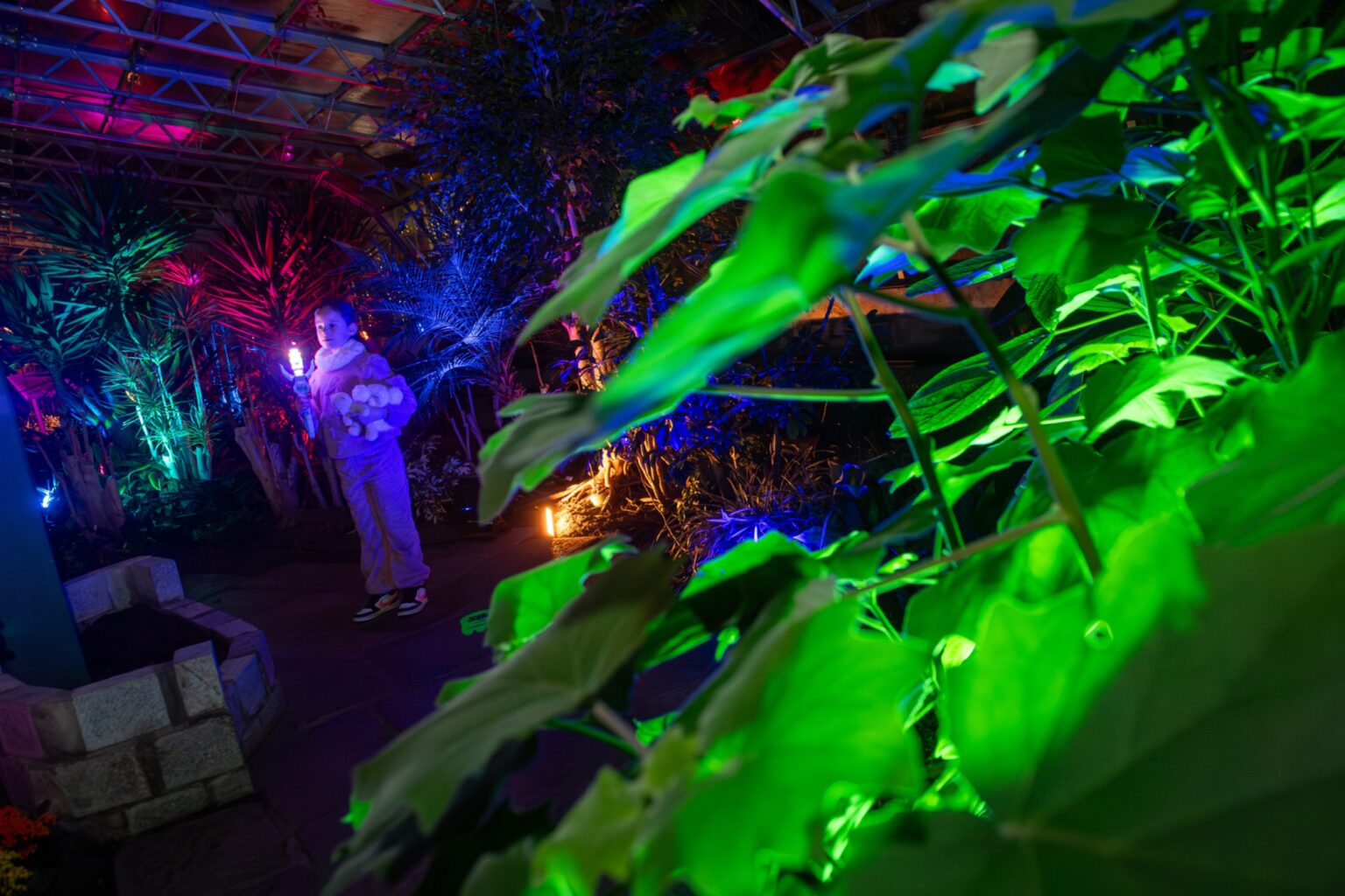 First look at Duthie Park's Winter Wonder Wander