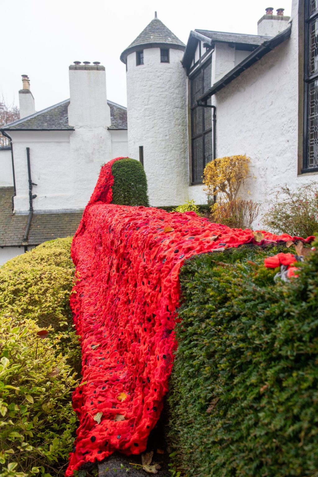Gallery: Gordon Highlanders Museum poppy tribute in Aberdeen