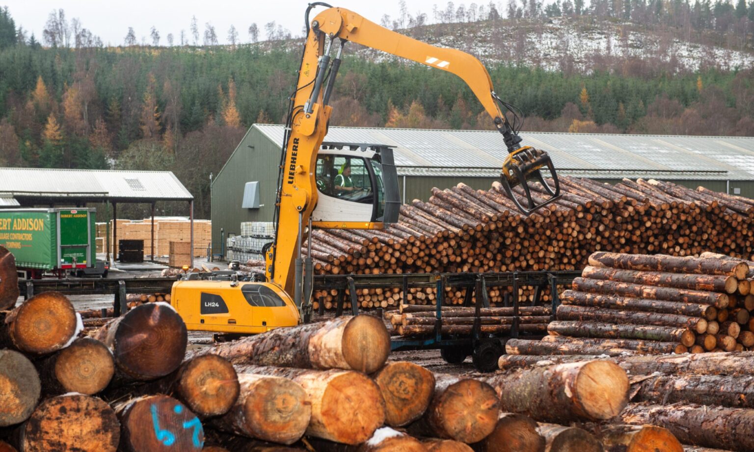 Aboyne sawmill: 'Deeside bridges situation huge concern for us'