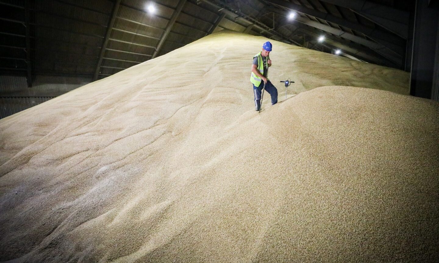 Diaego halts production at Roseisle maltings due to declining sector