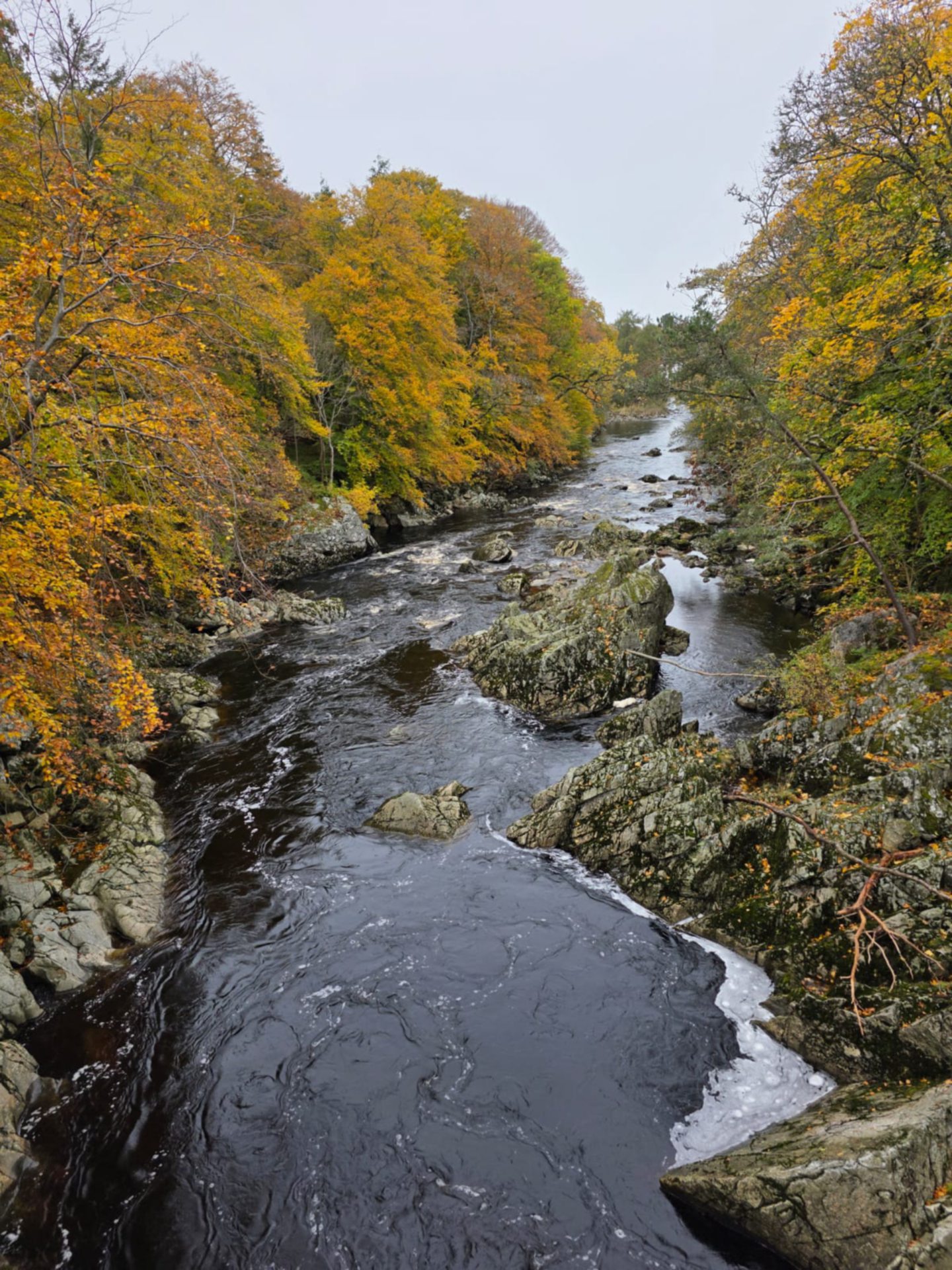 Readers’ Gallery: Scenic Views, Sunrises and Wildlife