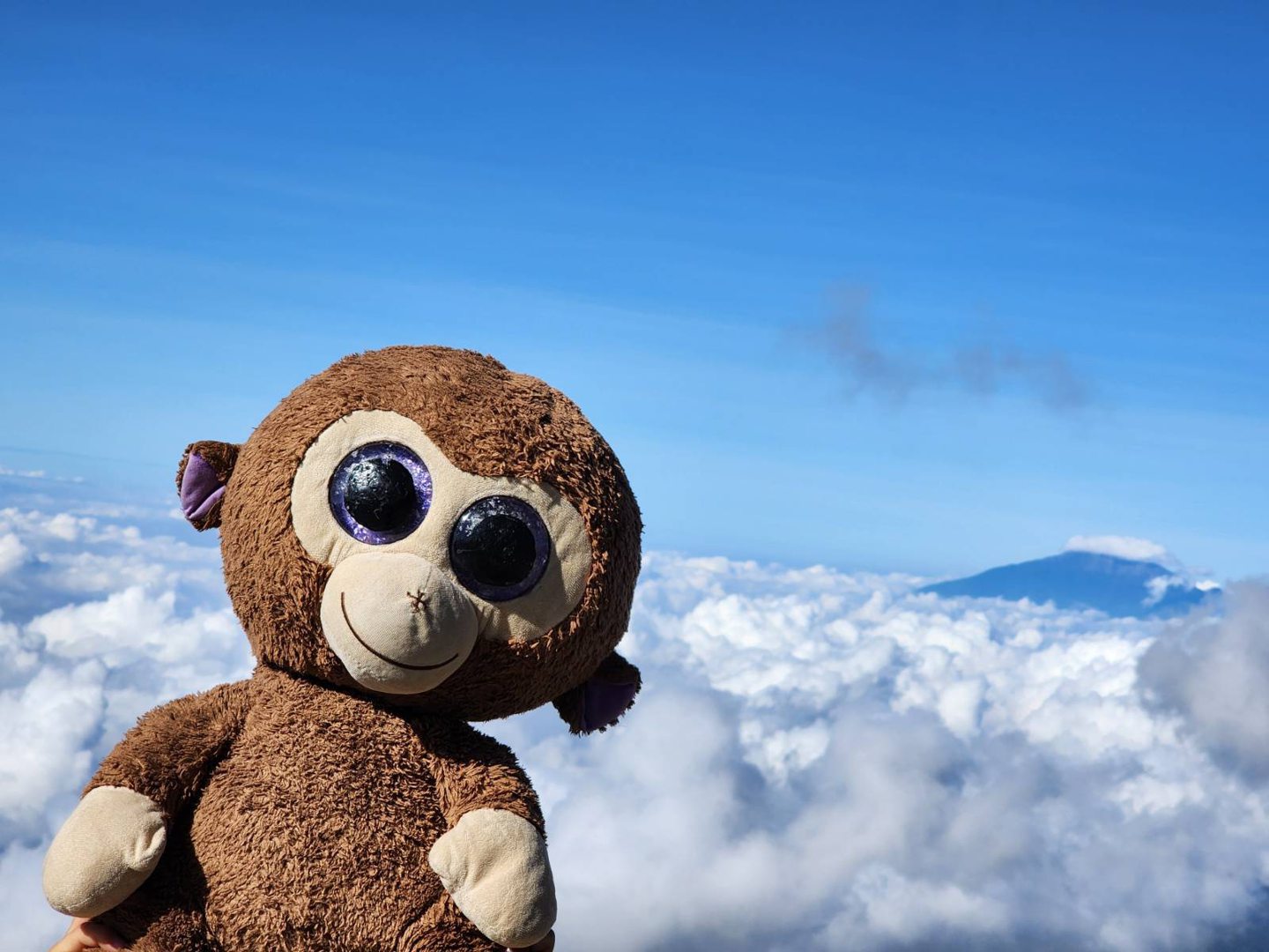 Aberdeen boy, 8, becomes youngest ever Scot to climb Kilimanjaro