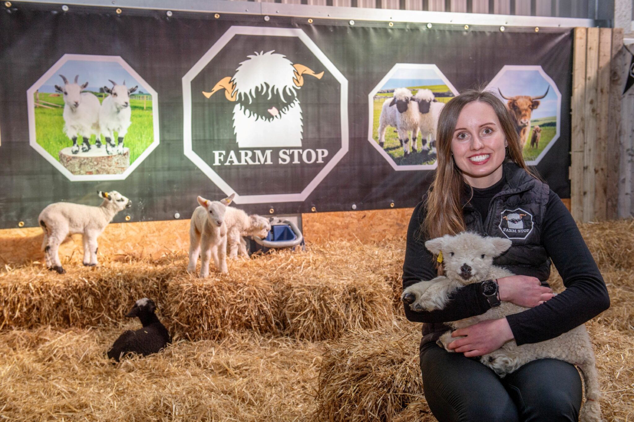 Farm Stop family's new attempt to build Portlethen home approved