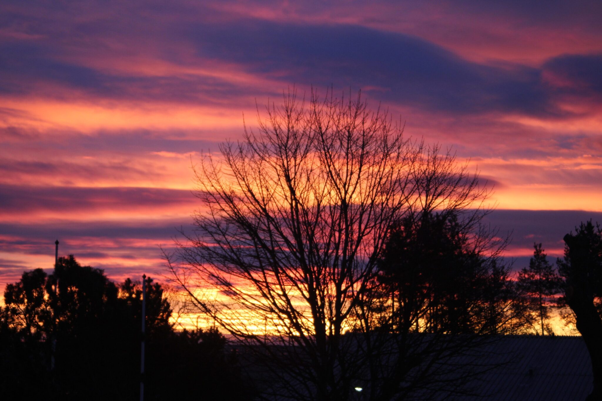 Readers’ Gallery: local scenes across Scotland