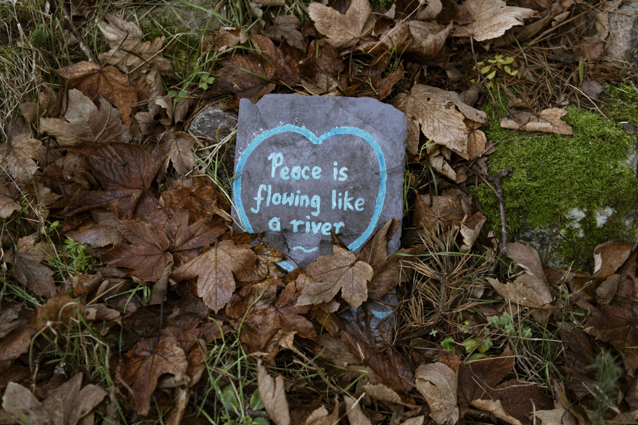 Findhorn Ecovillage: a sustainable community in Moray