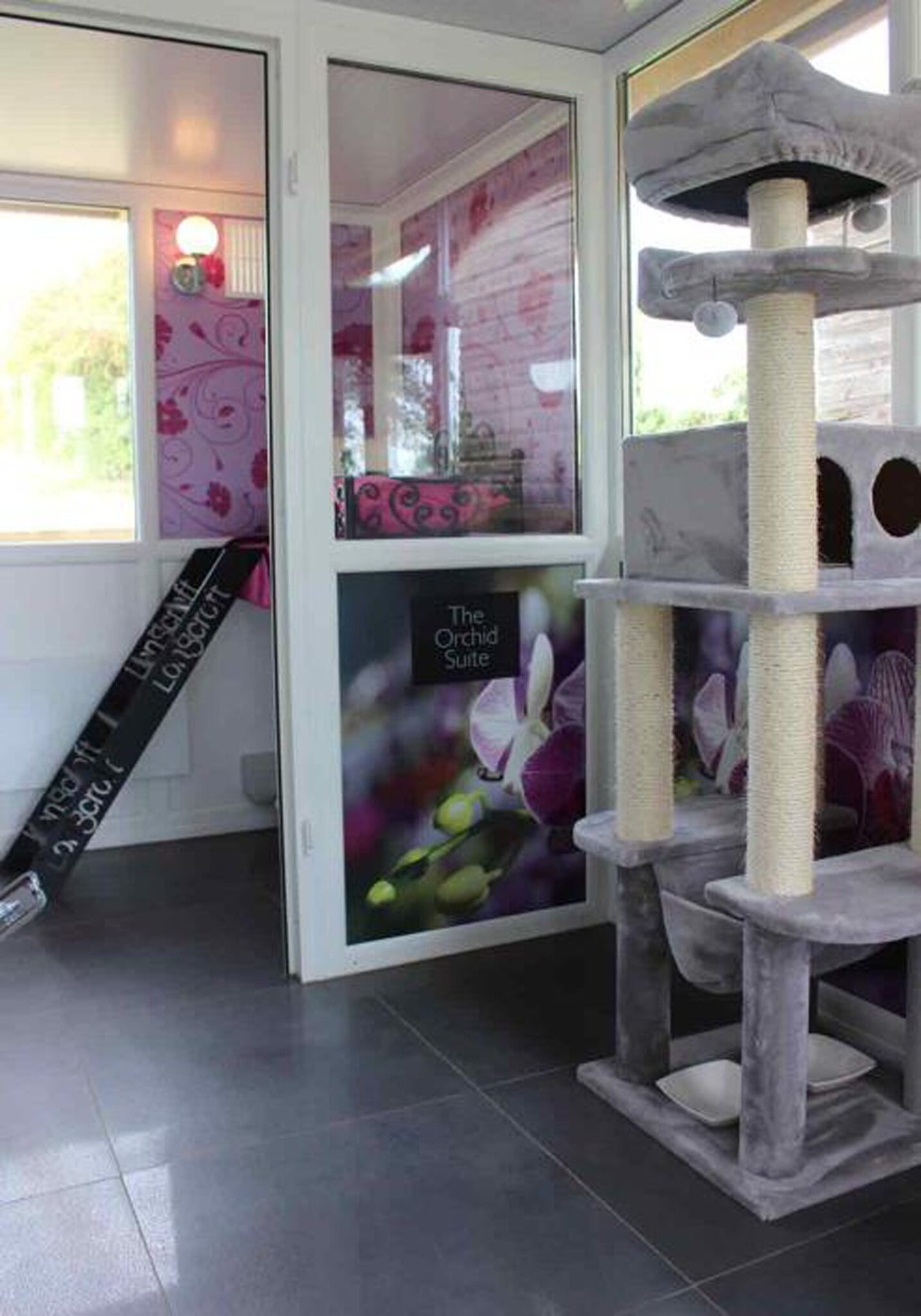 Garmouth cat hotel: What feline guests can expect inside