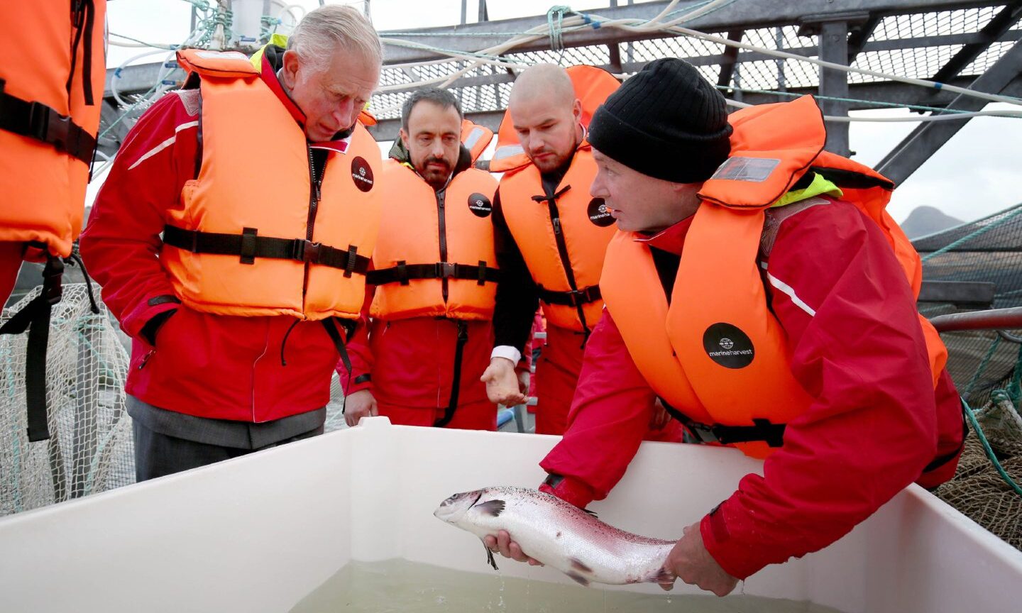 Calls for Inverawe warrant removal over Mowi links