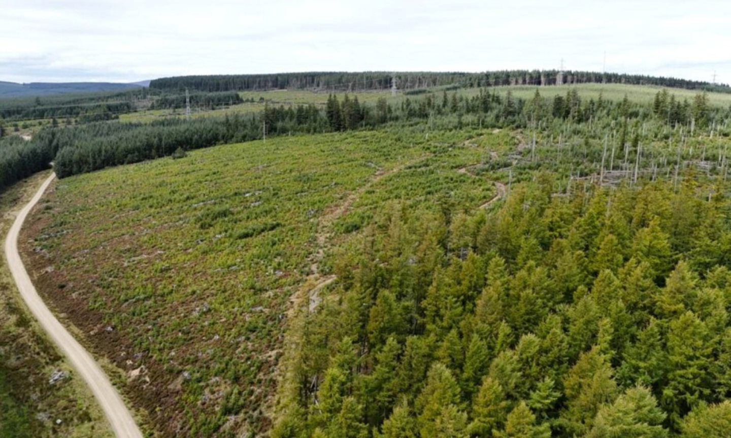 Controversial Fetteresso Forest substation plan refused