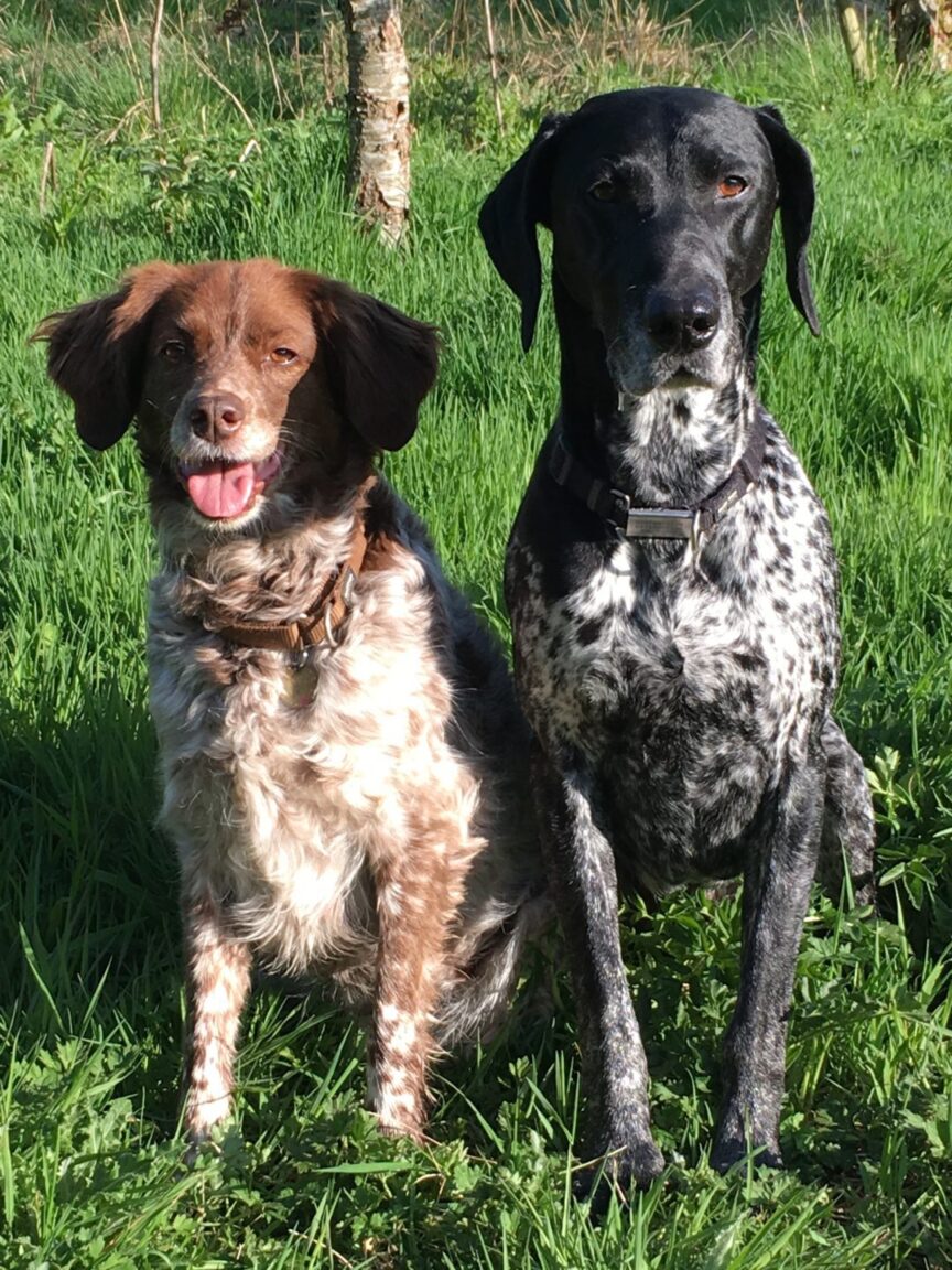 Meet guide dog in training Crumble and his Aberdeenshire family