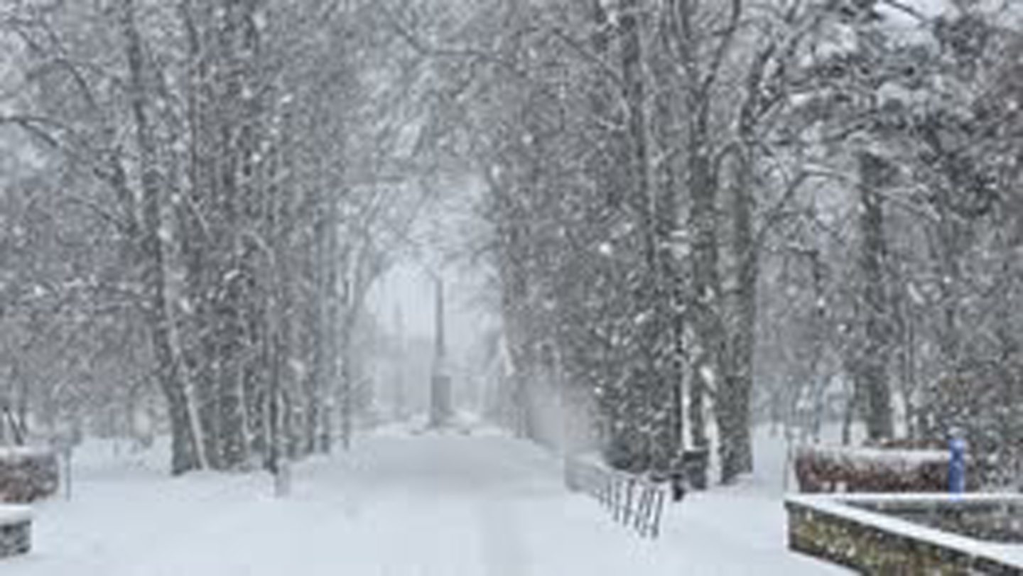 Asda Huntly worker and retained firefighter rescues trapped driver