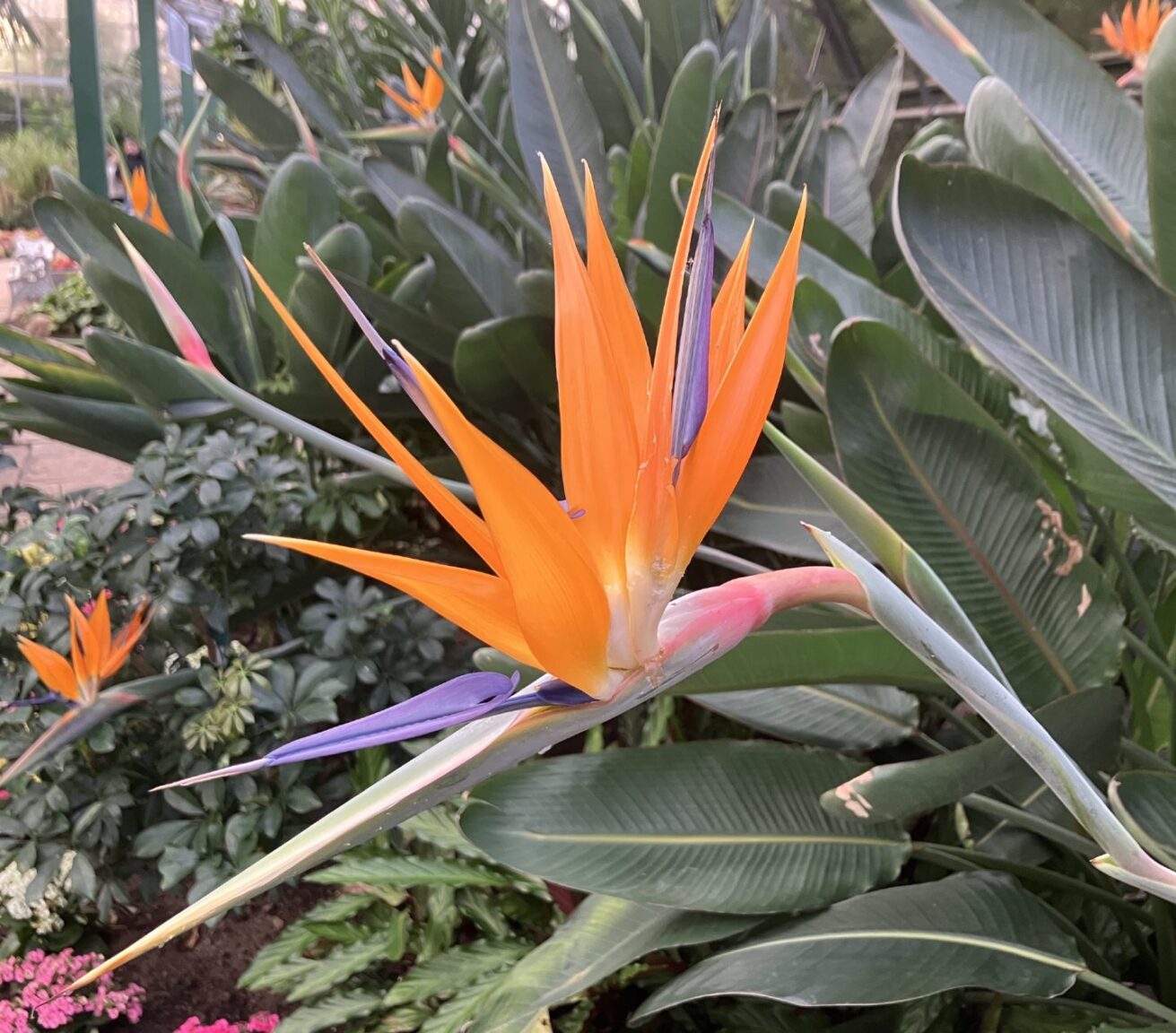 Readers’ Gallery: Stunning Landscapes from Coast to Countryside