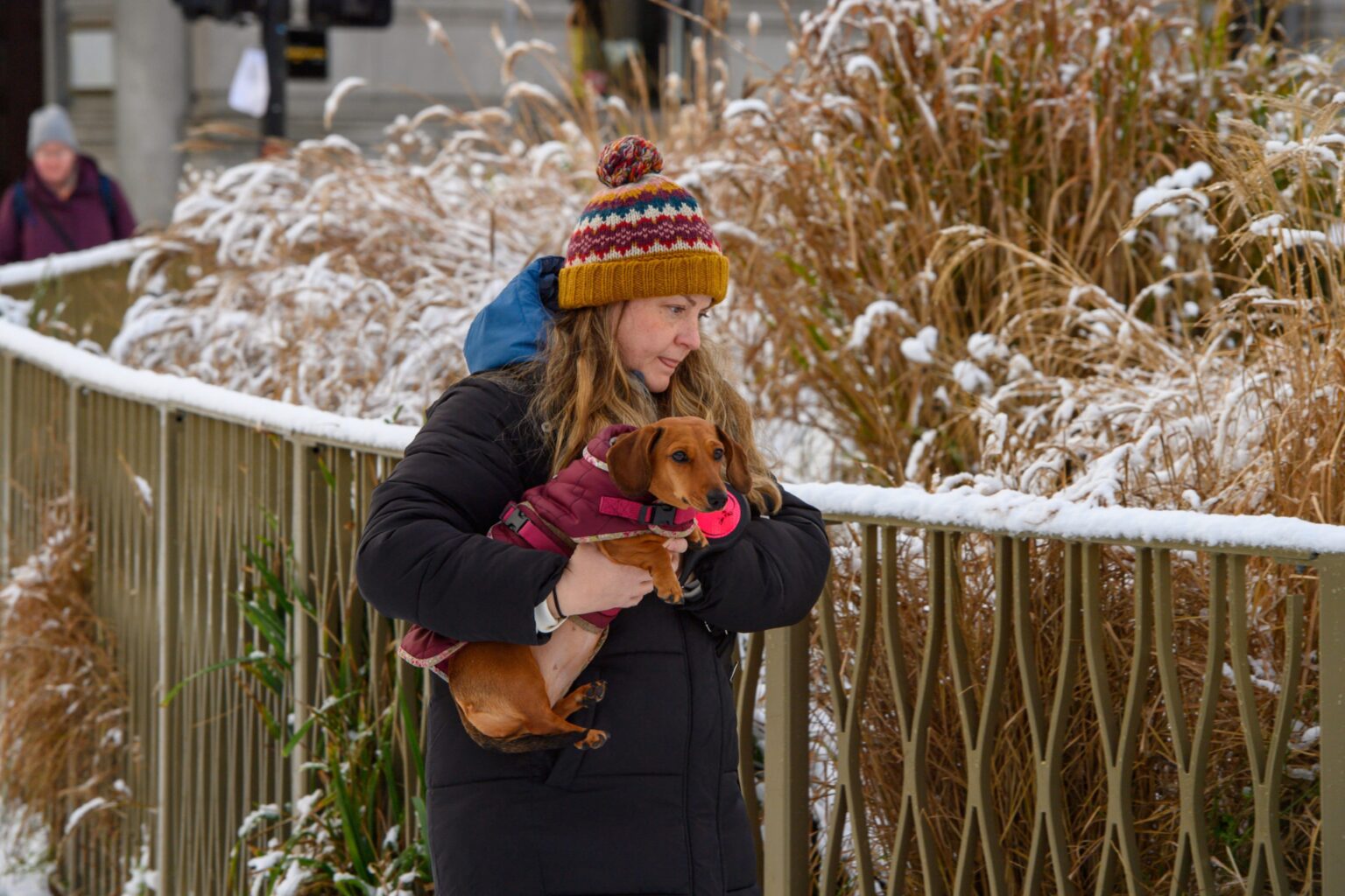 Best snow pictures - from Aberdeen to Aberlour | The P&J