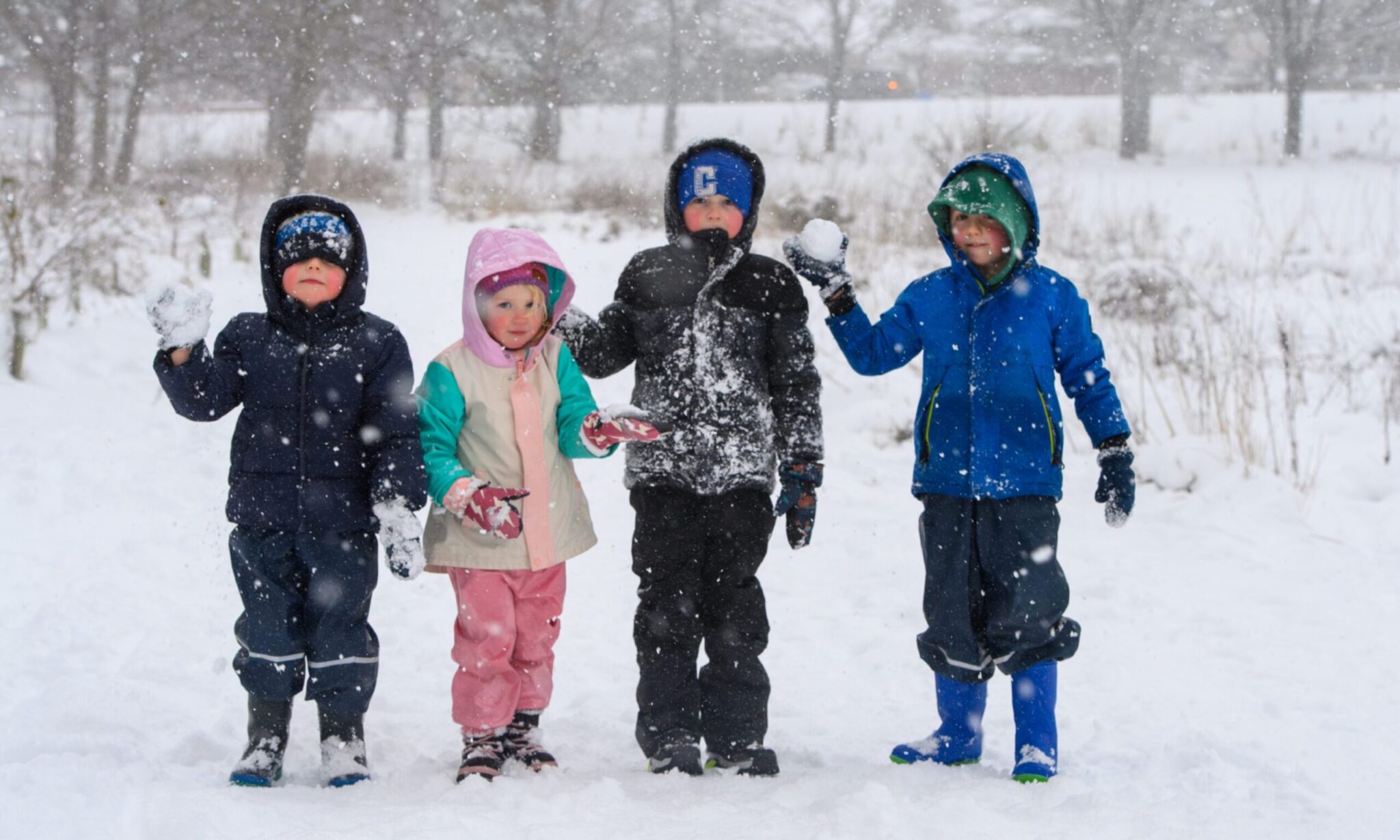 Full list as snow closes hundreds of north and north-east schools