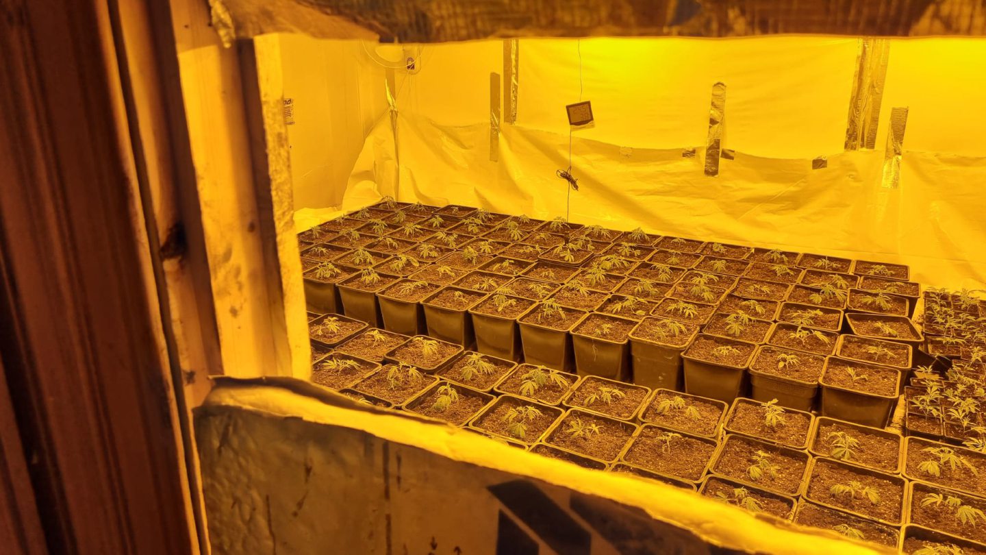 Ex-Albanian footballer jailed after cannabis farm found in Aberdeen