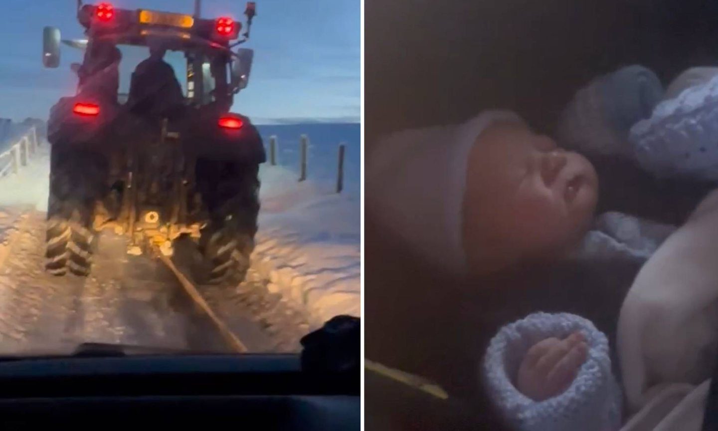 Maud newborn towed through snow by tractor on first journey home