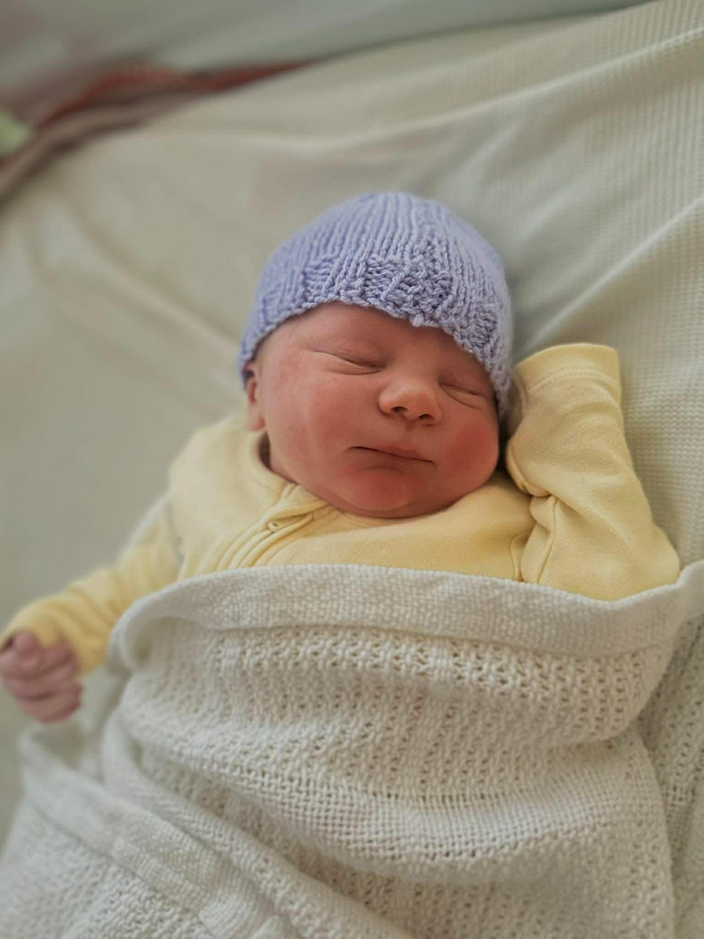 Maud newborn towed through snow by tractor on first journey home