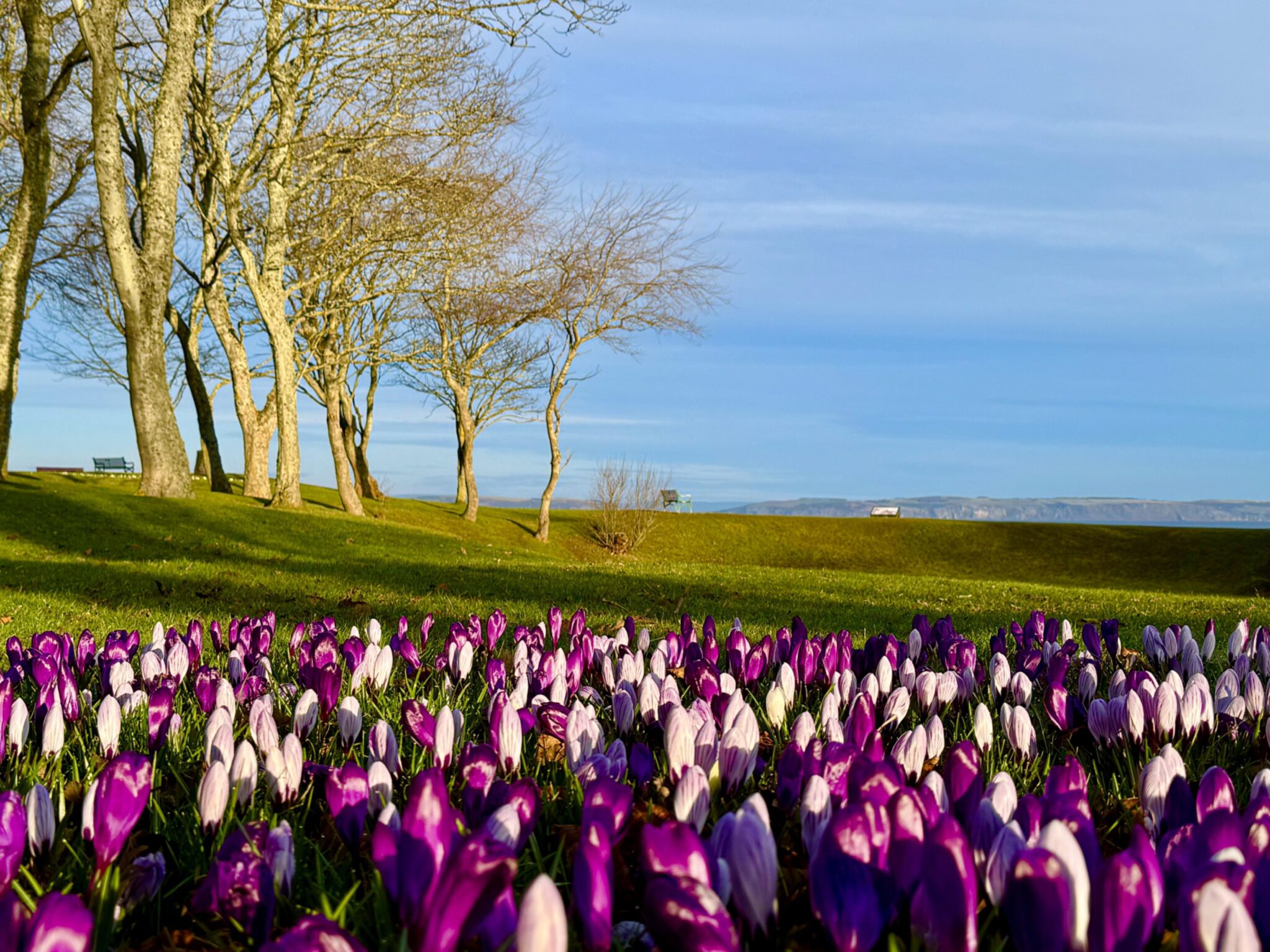 Readers’ Gallery: Spring brings colour and wildlife to the north and ...