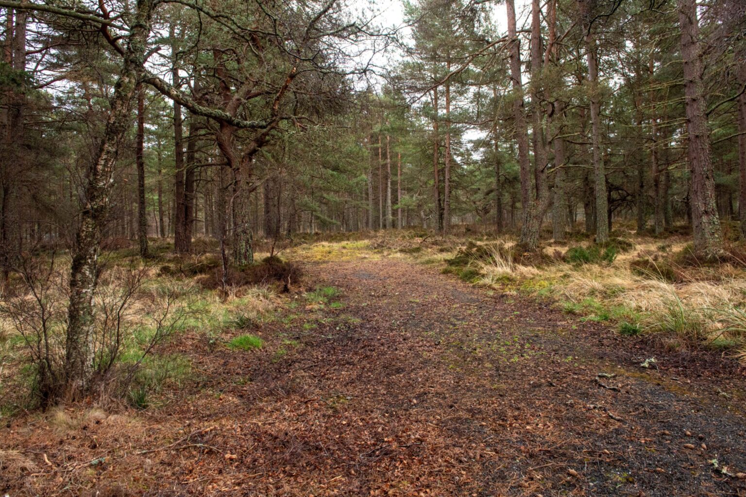 Live updates: Search for Renee MacRae at Nairnside property