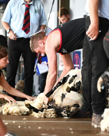Perthshire pair ready to do battle with world's best sheep shearers
