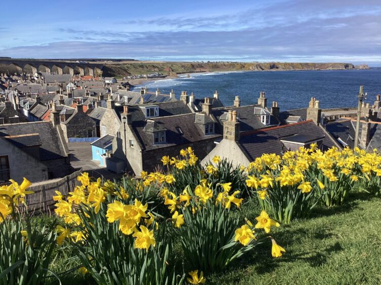 Readers’ Gallery: Spring brings colour and wildlife to the north and ...