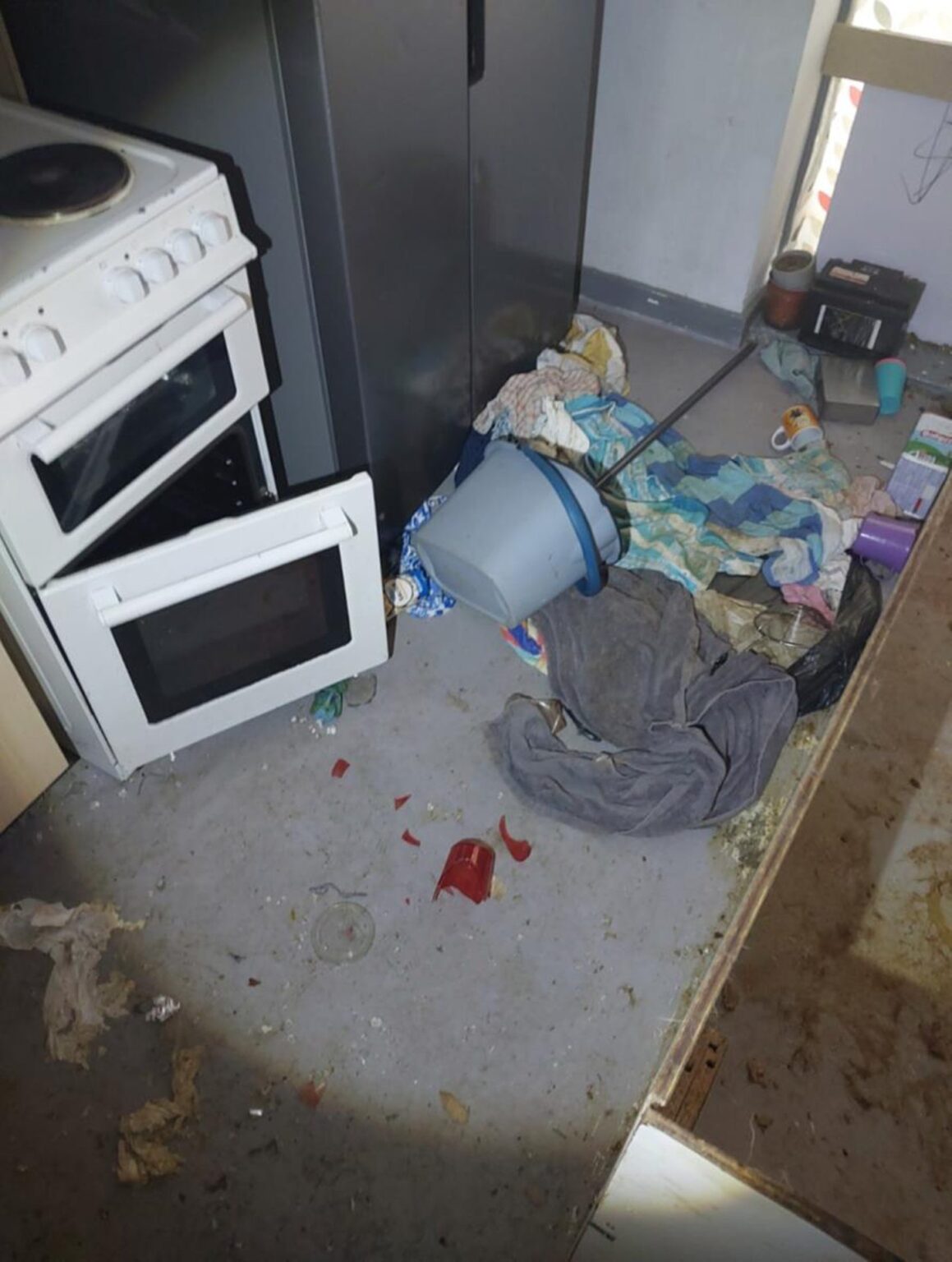 Fraserburgh woman abandoned dogs in disgusting home for weeks