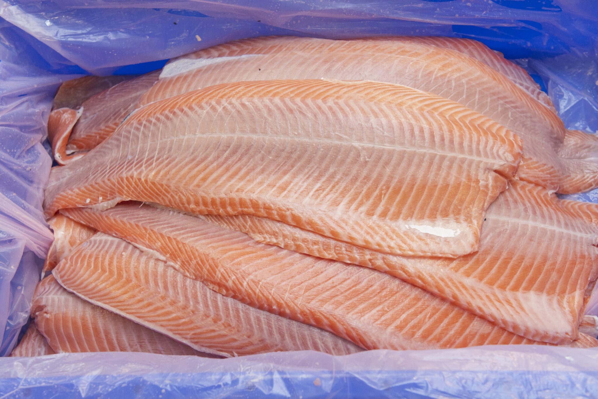 Associated Seafoods: Buckie boss on plans for global expansion