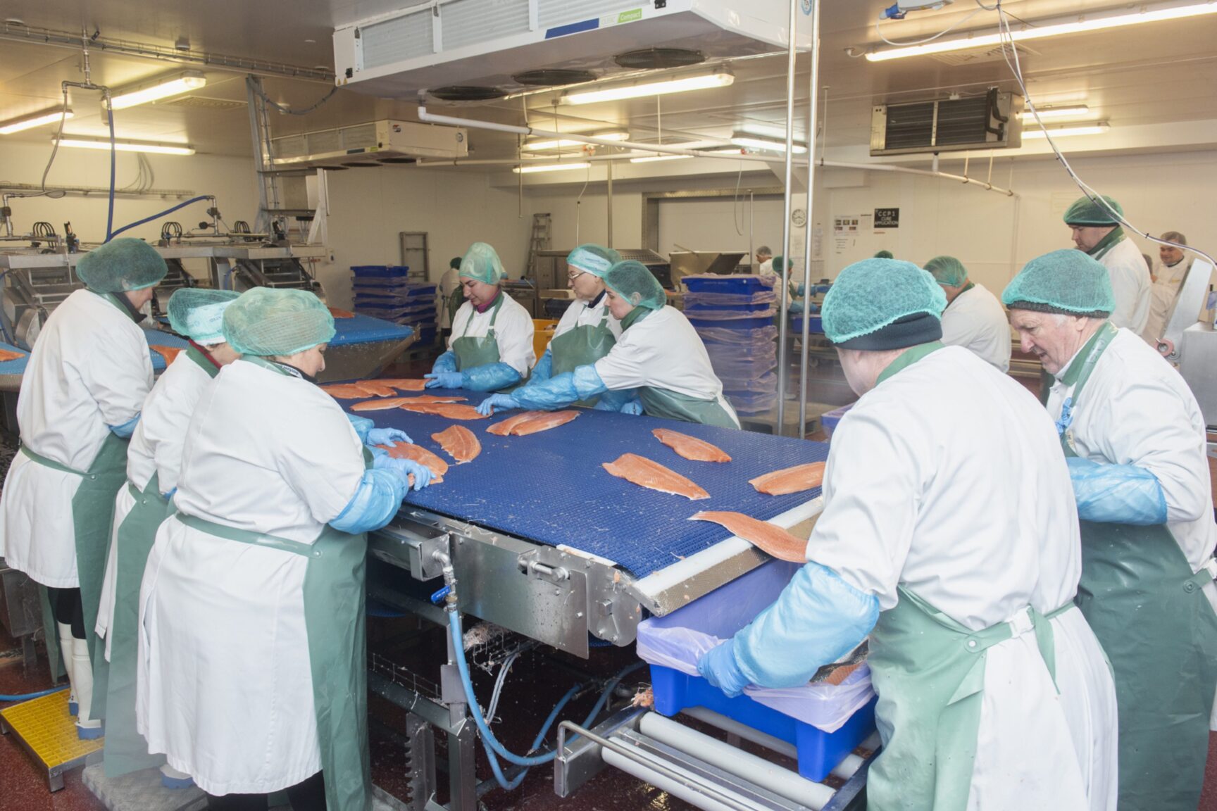 Associated Seafoods: Buckie boss on plans for global expansion