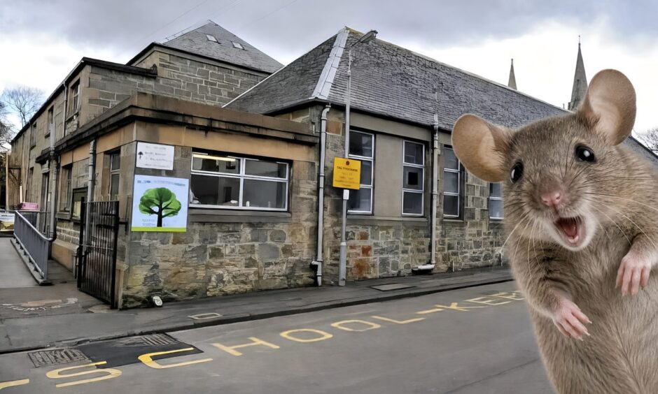 Buckie nursery closed to youngsters due to mouse infestation
