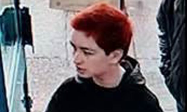 Gourdon teenage girl with red hair reported missing