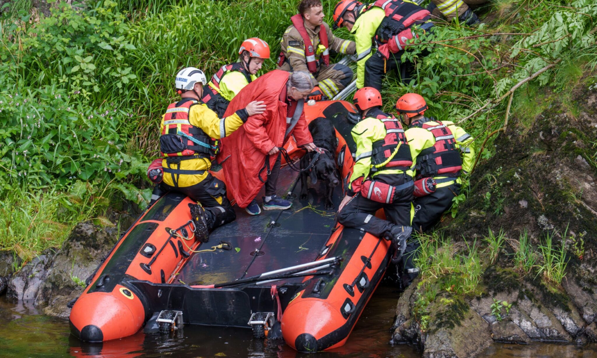 Dog rescued after plunging 50ft down Aberdeenshire gorge